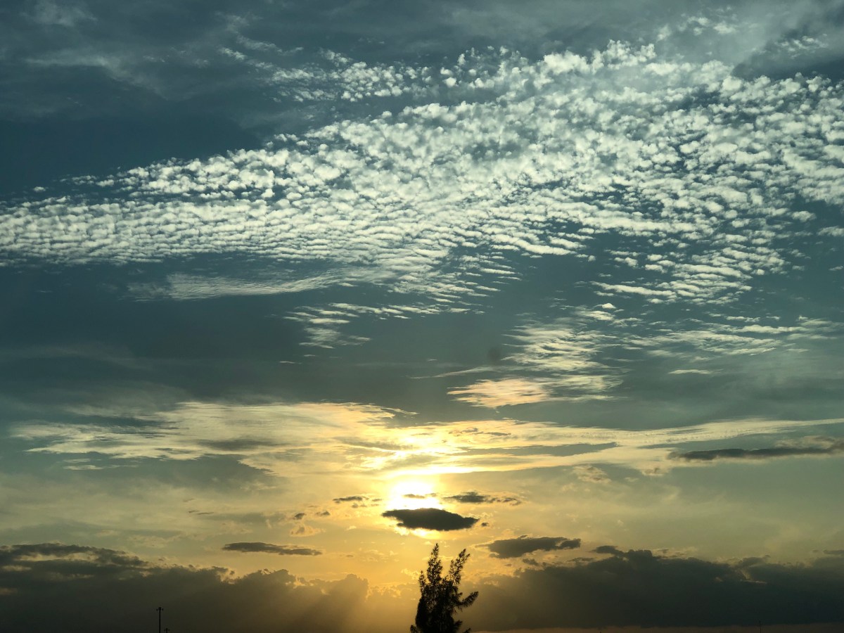 Irretrievably broken…? – MeliGoesRogue